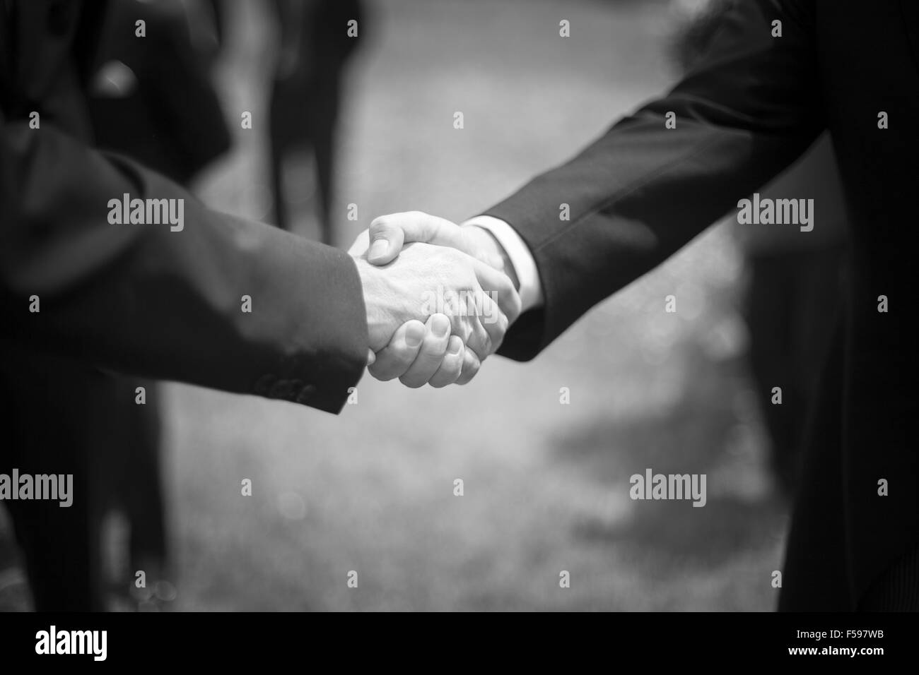 Social gathering shaking hands hi-res stock photography and images - Alamy