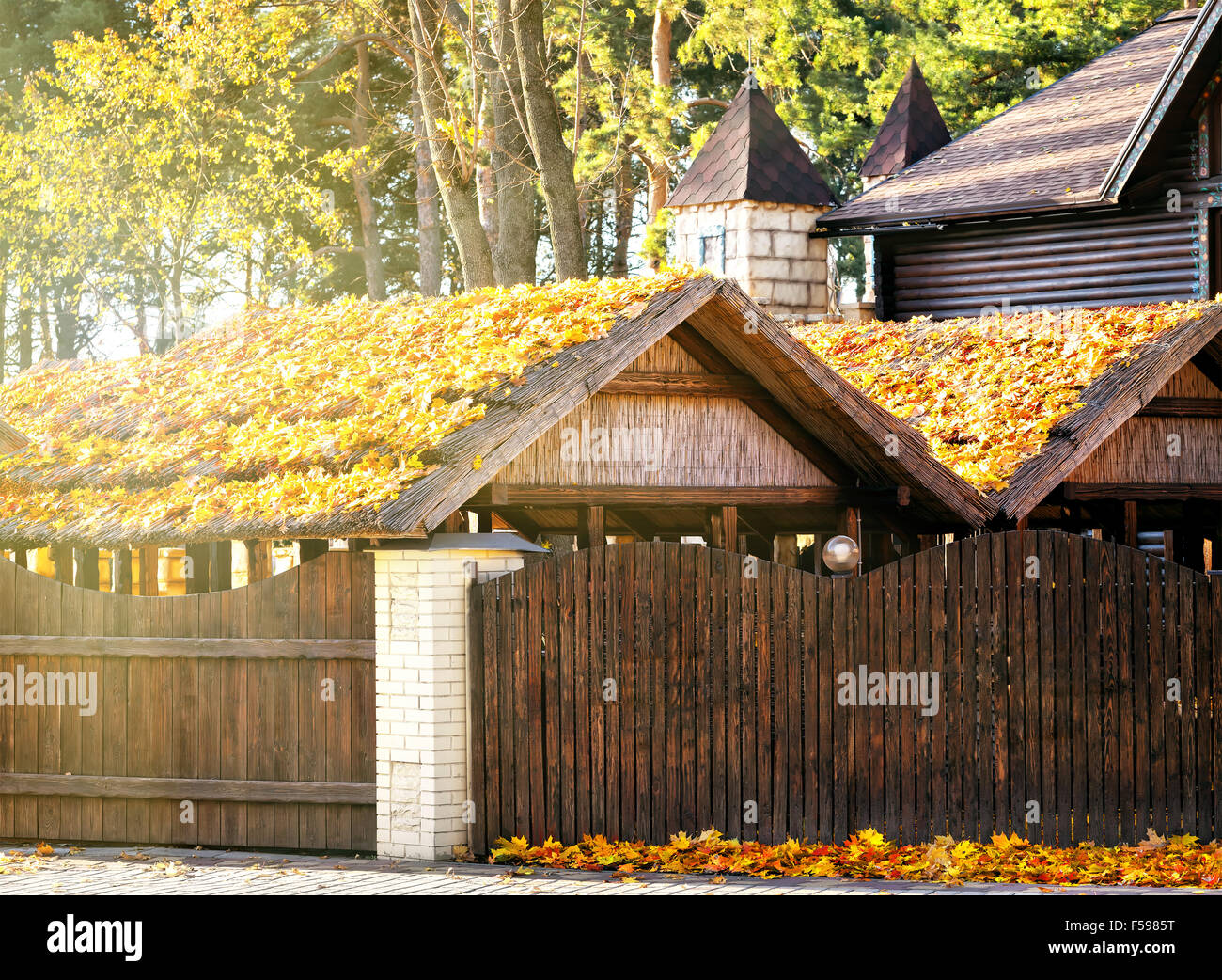 Roofs wooden buildings covered with autumn leaves in sun Stock Photo ...
