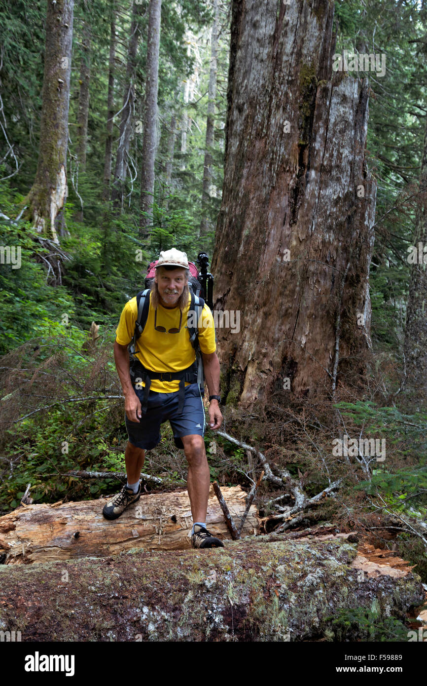 Downed tree hi-res stock photography and images - Alamy