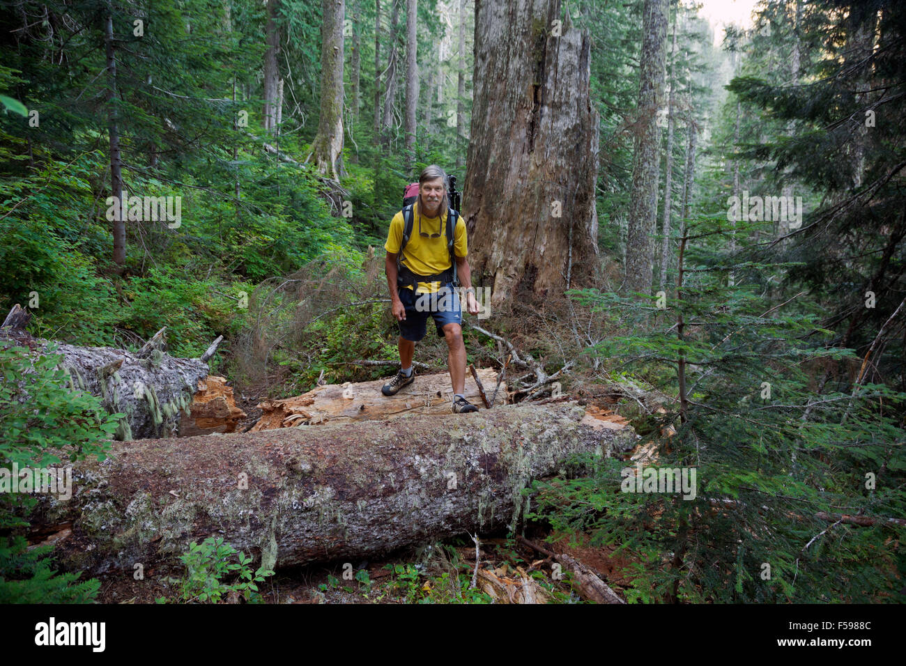 Unmaintained trail hi-res stock photography and images - Alamy
