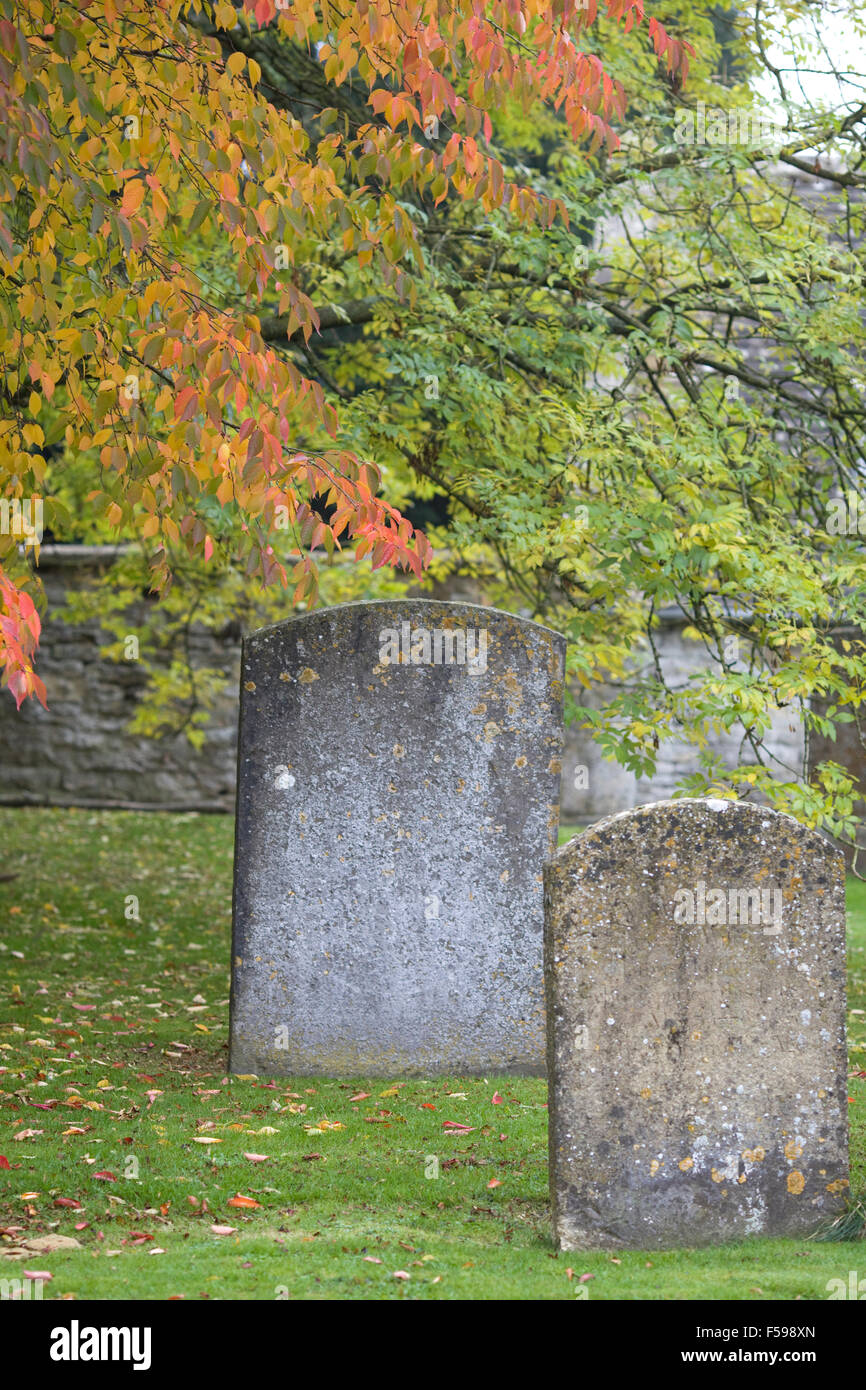 Graves under trees hi-res stock photography and images - Alamy