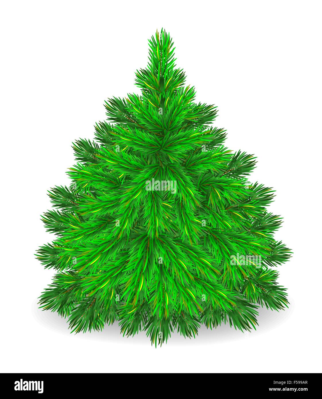 Furry plant Stock Vector Images - Alamy