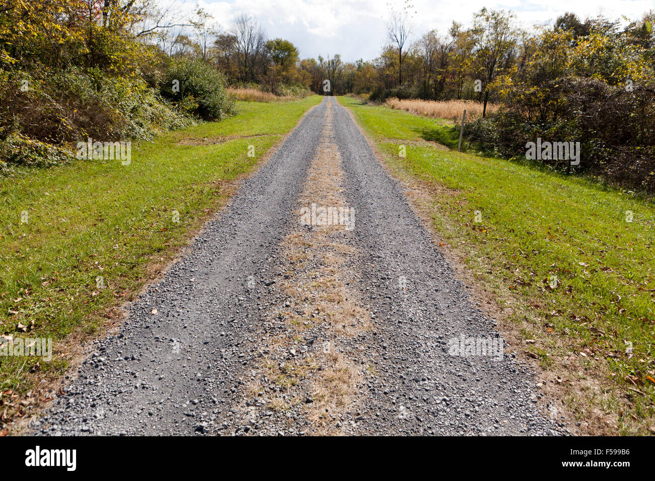 One lane gravel road - Pennsylvania USA Stock Photo - Alamy
