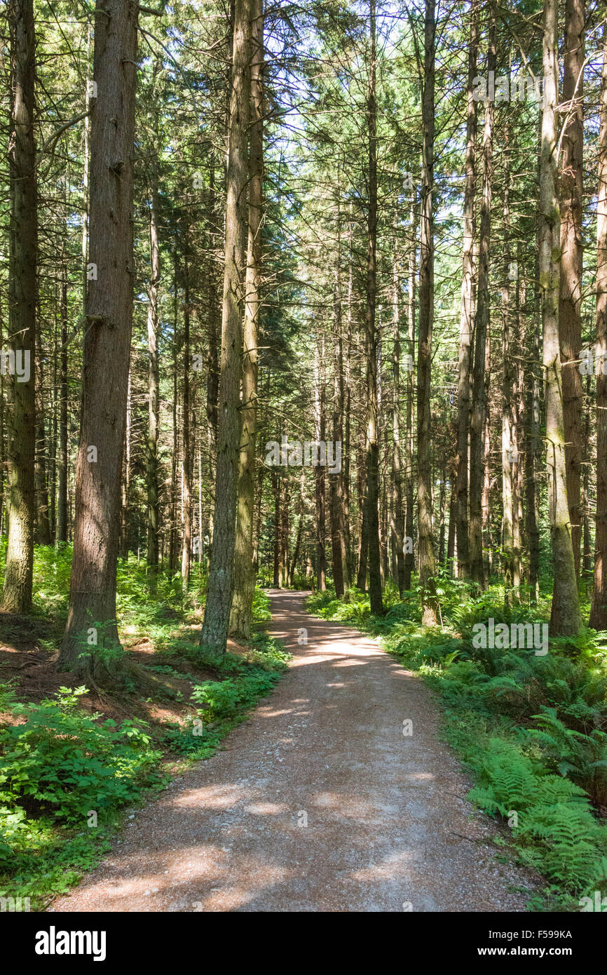 Mulched paths hi-res stock photography and images - Alamy