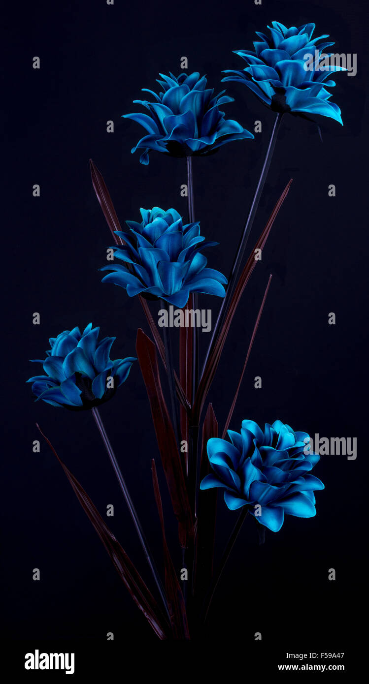 Backdrop of blue flowers hi-res stock photography and images - Alamy