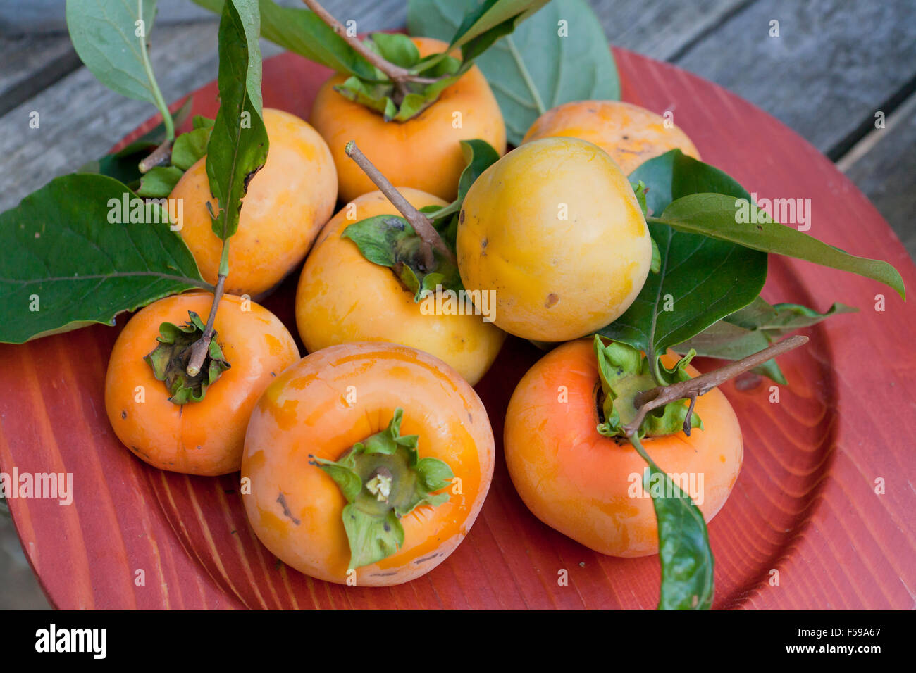 Freshly picked Japanese persimmons - USA Stock Photo - Alamy