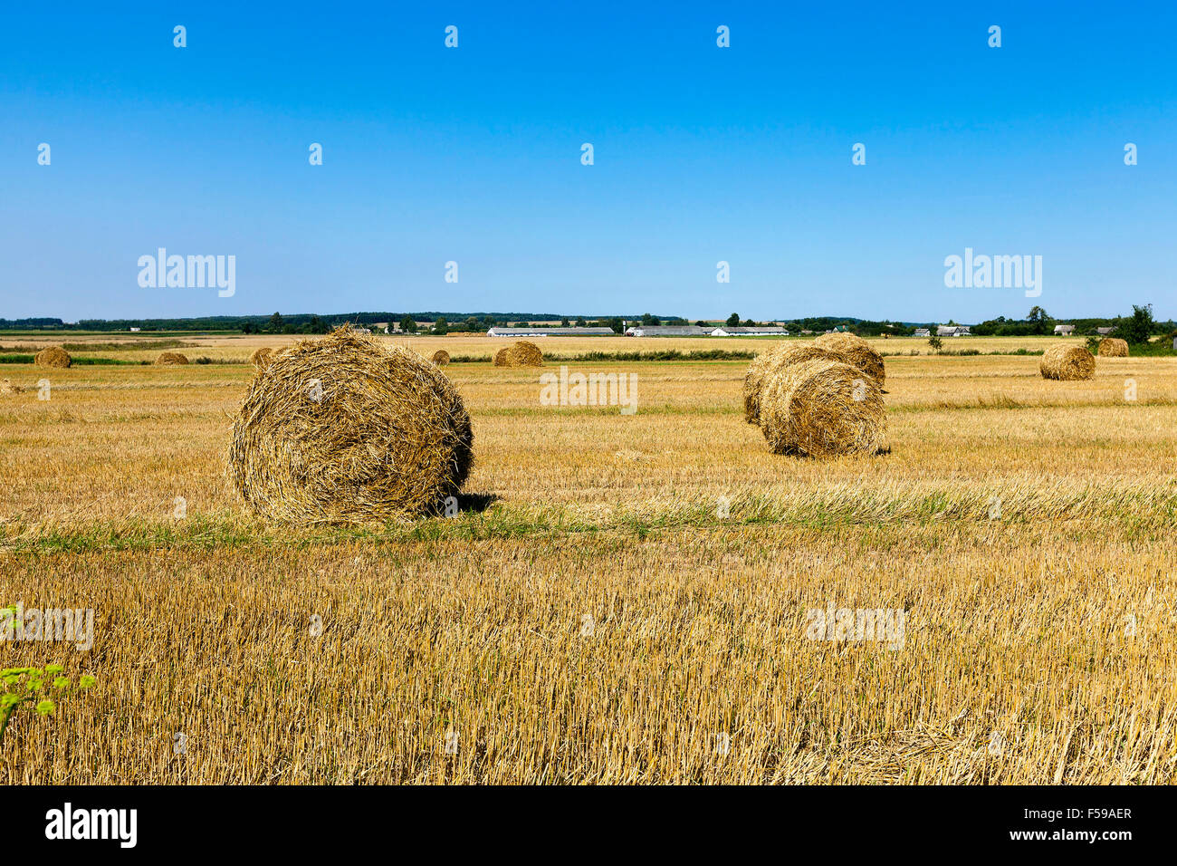 Stack of straw Stock Photo - Alamy