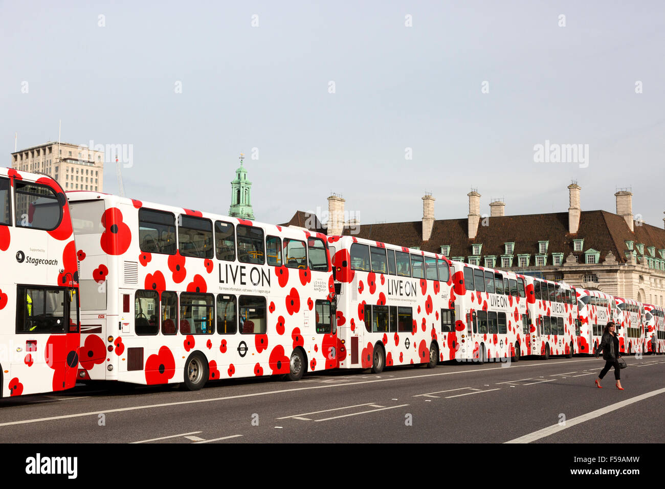 Line of London buses on Westminster Bridge painted with poppies for the ...