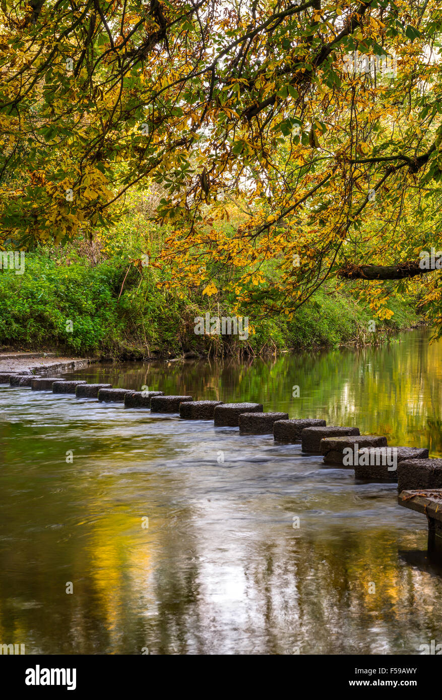 Stepping Stones over the river Mole at the foot of Boxhill, Surrey, UK ...