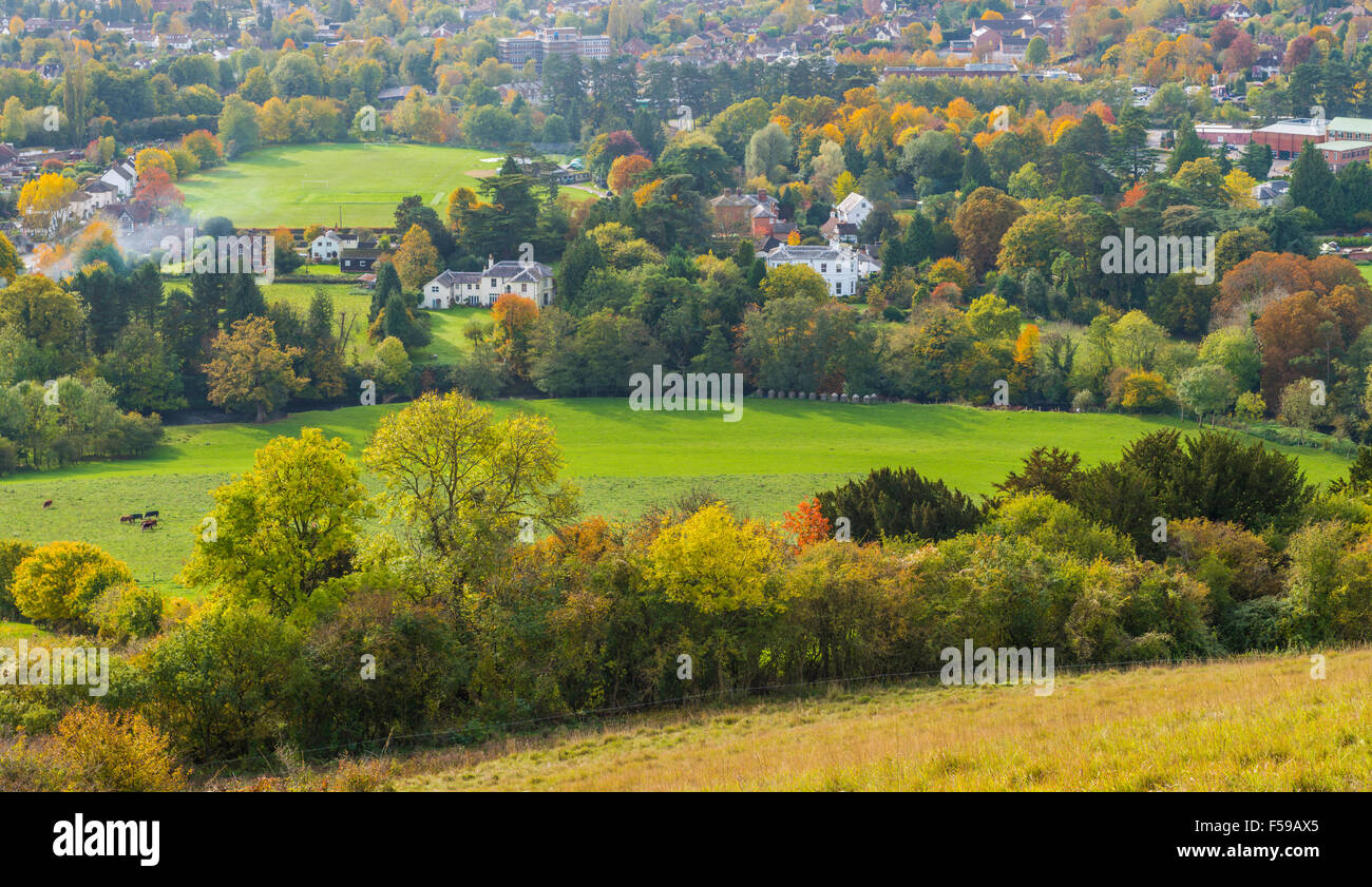 View of English countryside in the fall colors, North Downs in Surrey ...