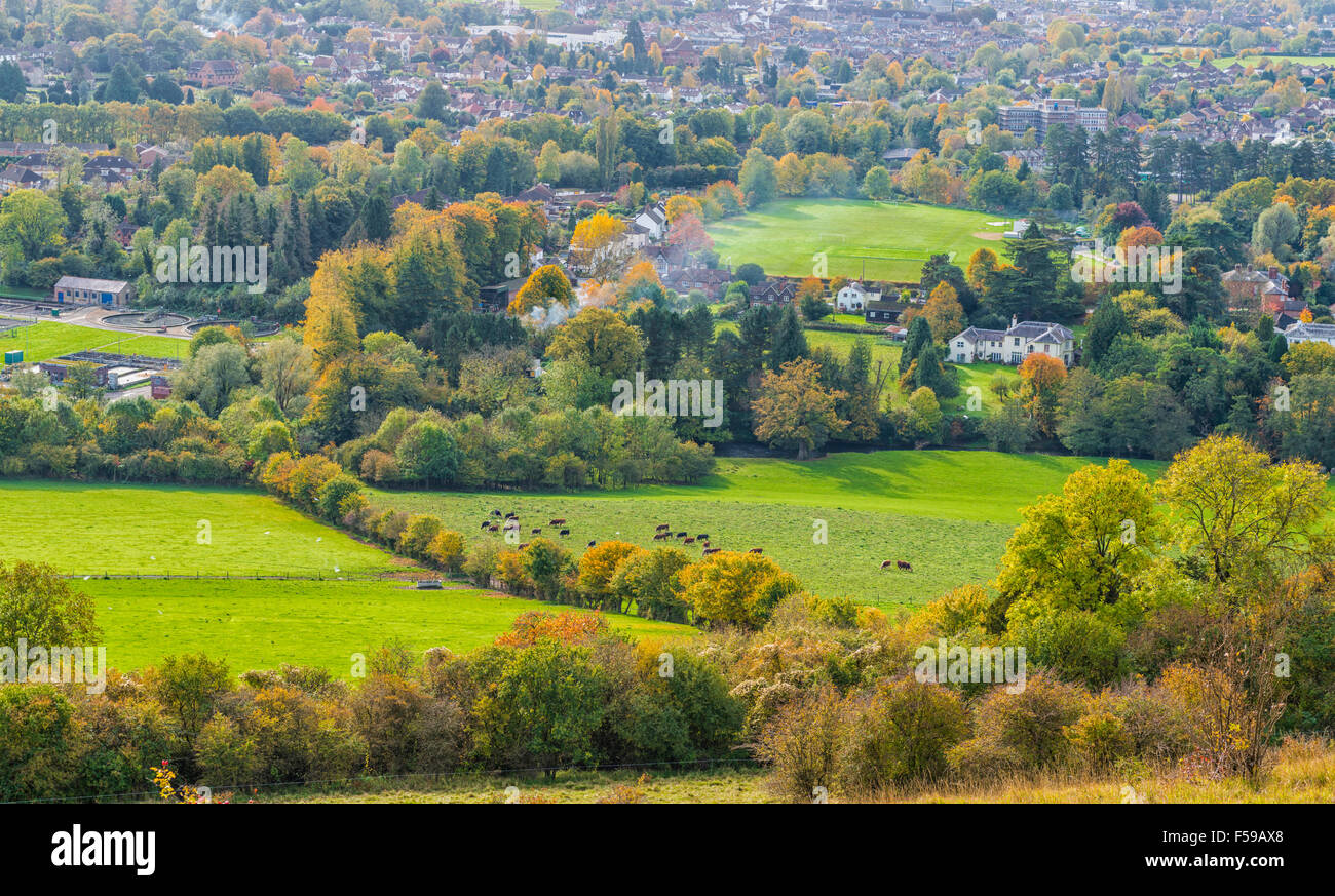 View of English countryside in the fall colors, North Downs in Surrey ...
