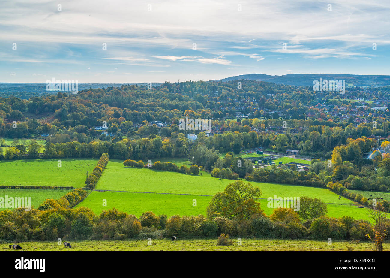 View of English countryside in the fall colors, North Downs in Surrey ...