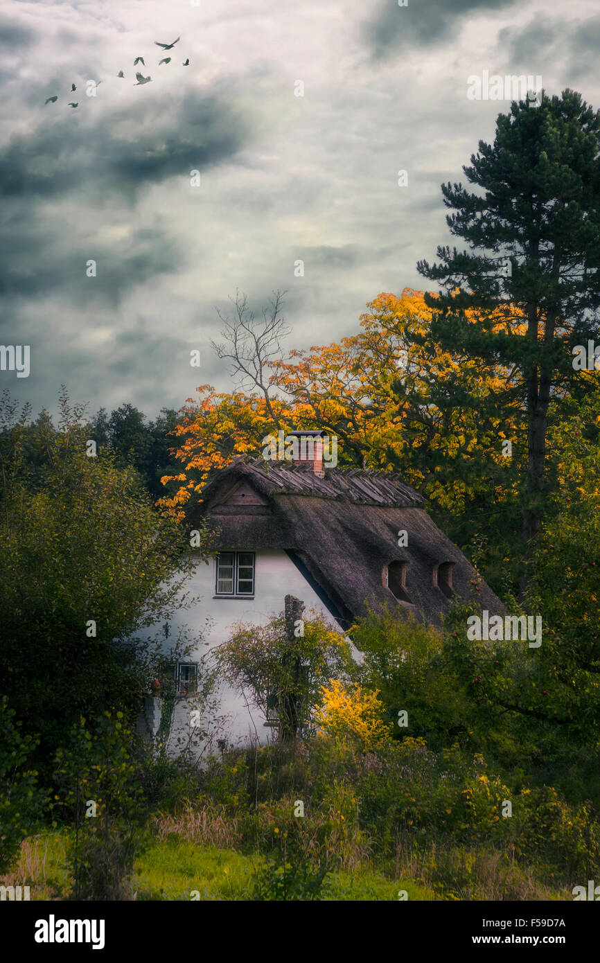 a witch cottage in the woods Stock Photo - Alamy