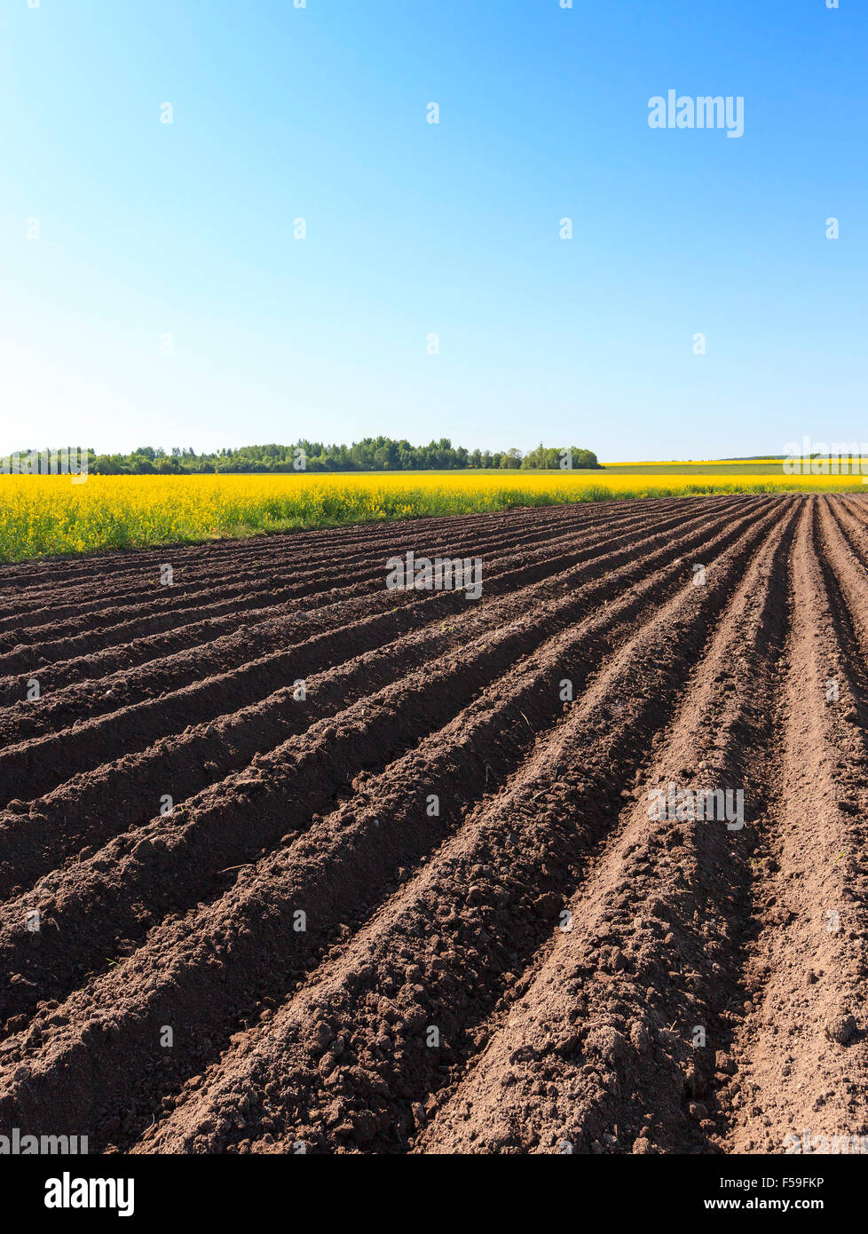 Field Grass Mud Ditch High Resolution Stock Photography and Images - Alamy