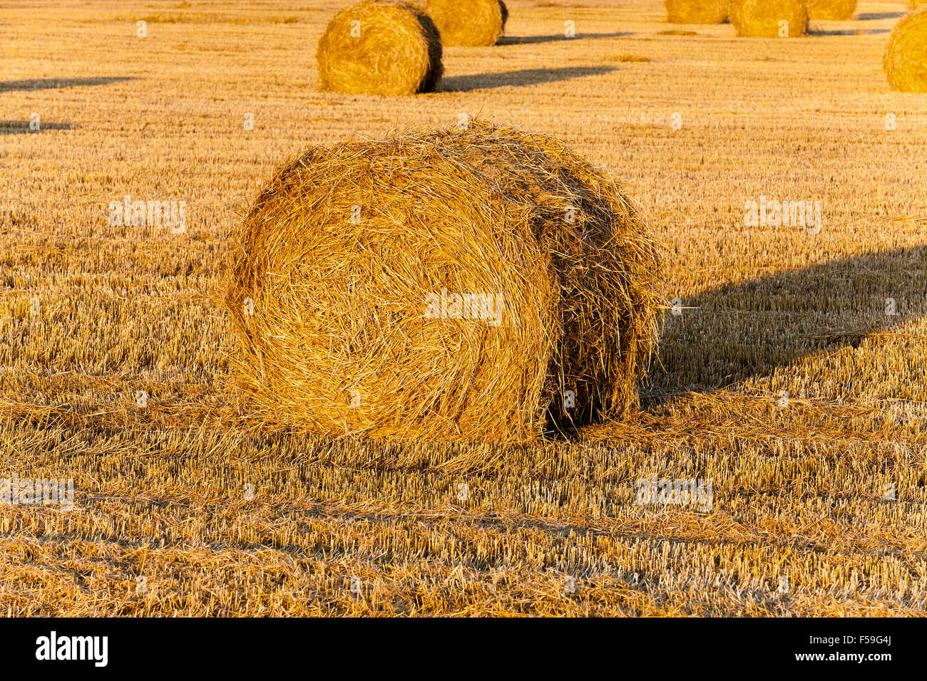 Stack of straw Stock Photo - Alamy