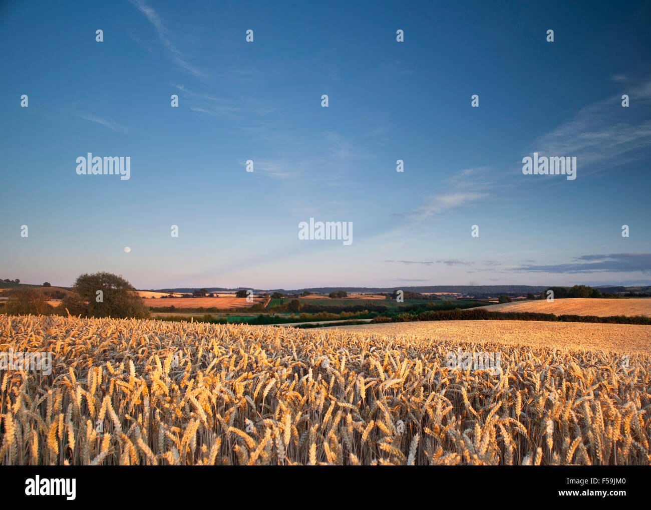 Soft warm light hi-res stock photography and images - Alamy