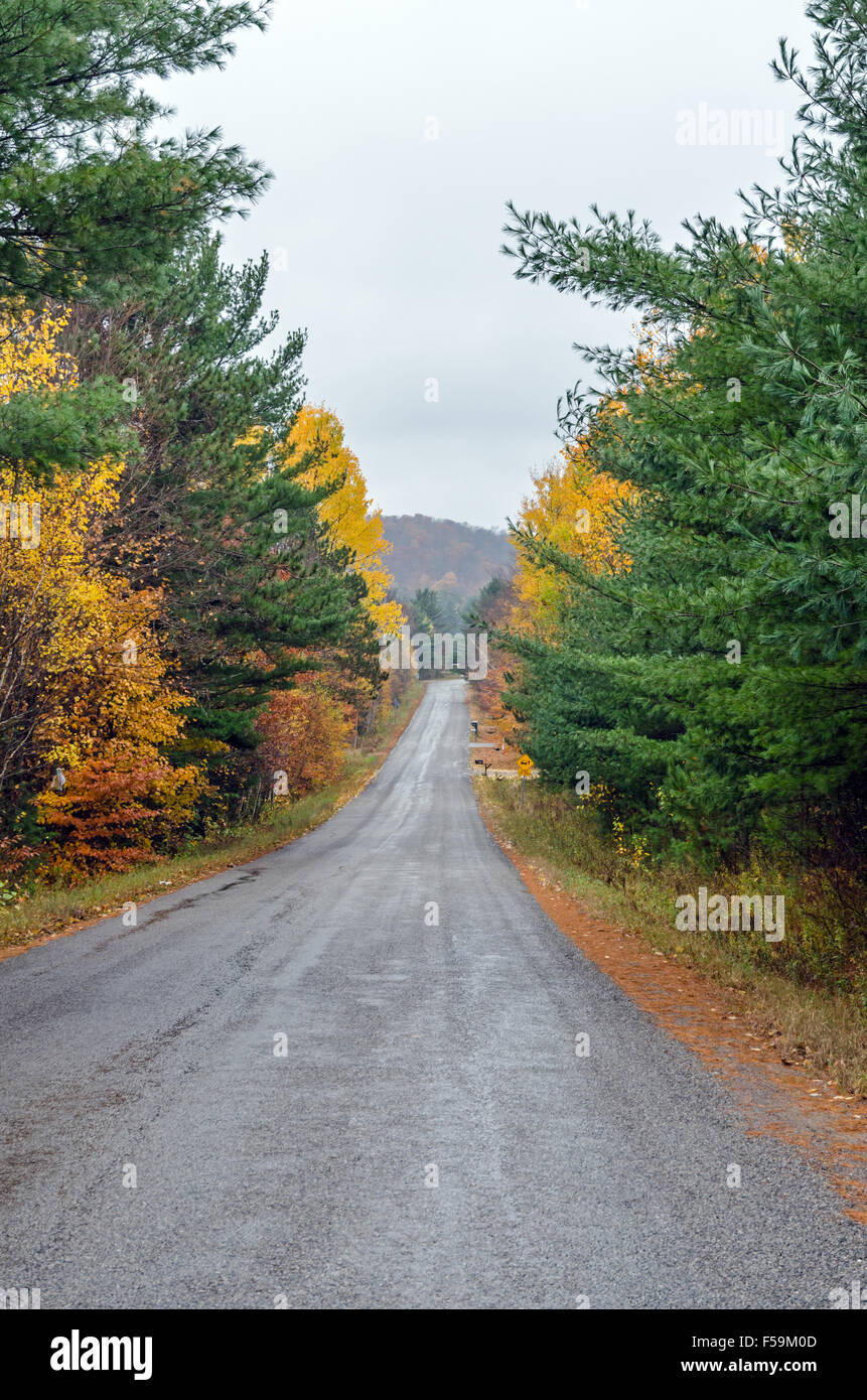 Road in color Ontario forest in overcast day Stock Photo - Alamy