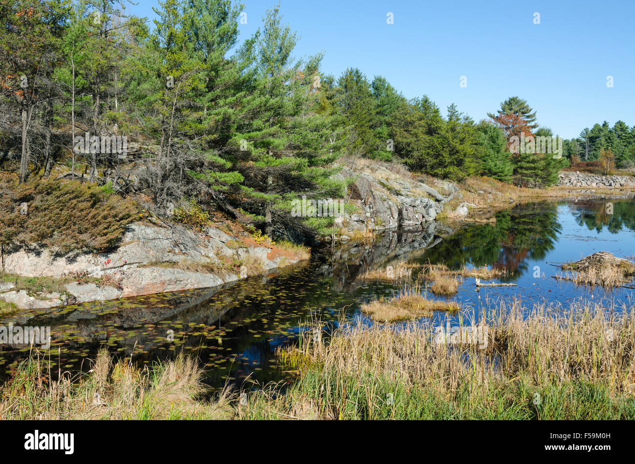 Lake in Muskoka during the fall season Stock Photo - Alamy