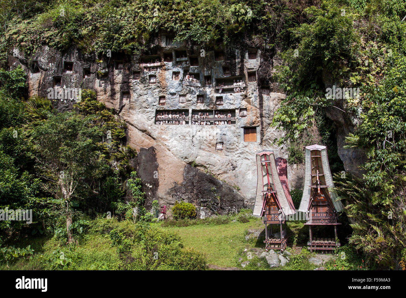 Tao Tao adorning a cliff face at Lemo Village Tana Toraja in Sulawesi ...