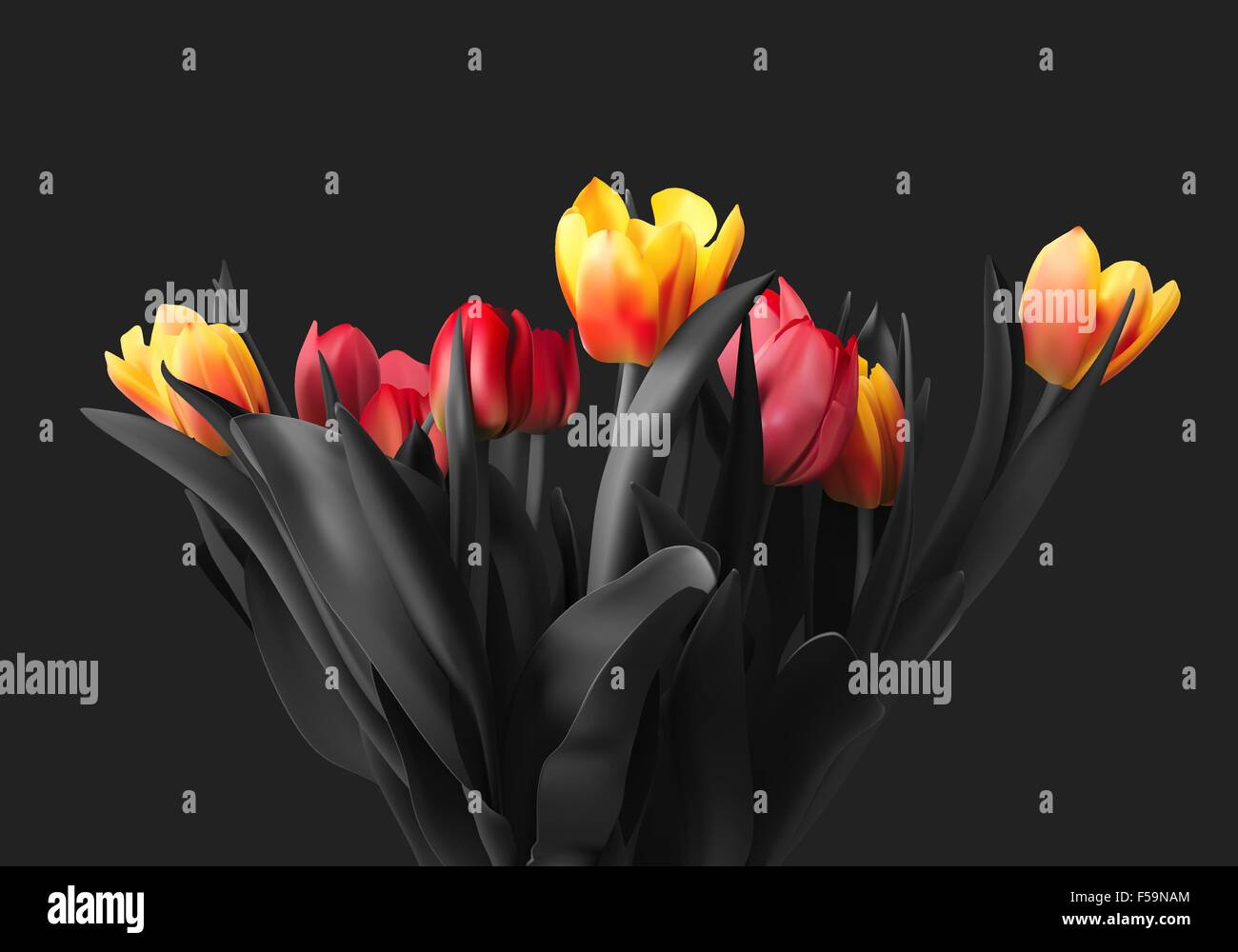 Colorful tulips beautiful in Stock Vector Images - Alamy
