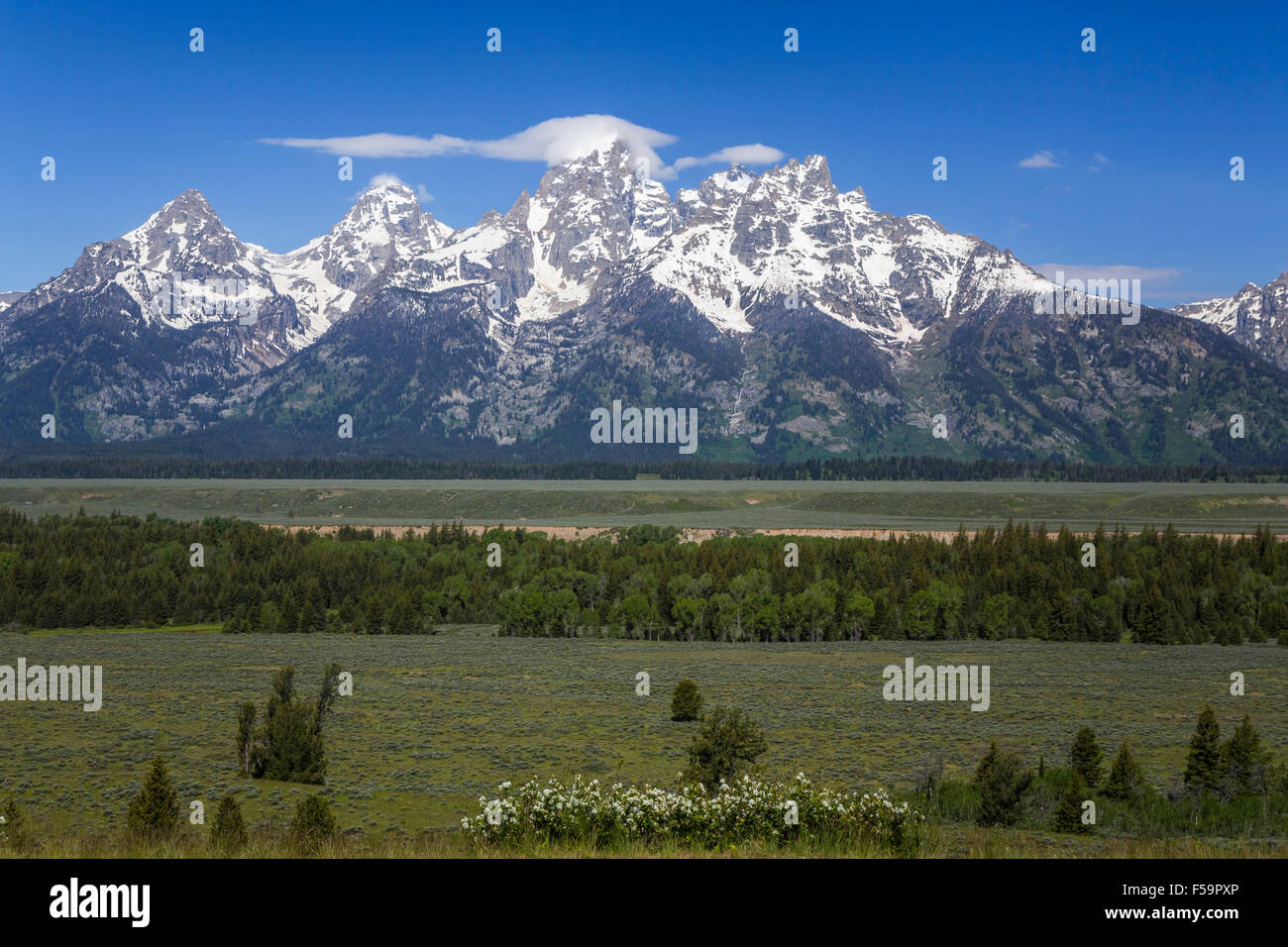 The Grand Teton mountain range and meadows in the Grand Teton National ...