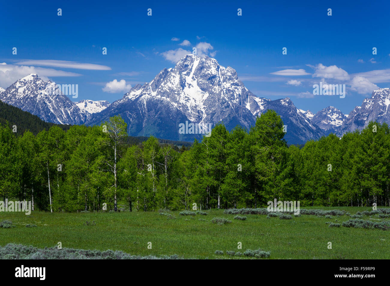 The Grand Teton mountain range and meadows in the Grand Teton National ...