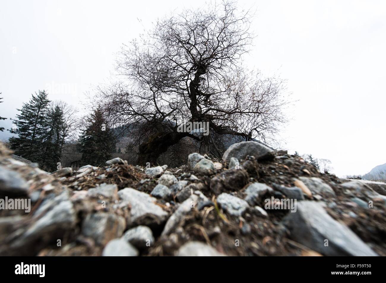 Xining. 30th Oct, 2015. Photo taken on Oct. 30, 2015 shows the scenery ...
