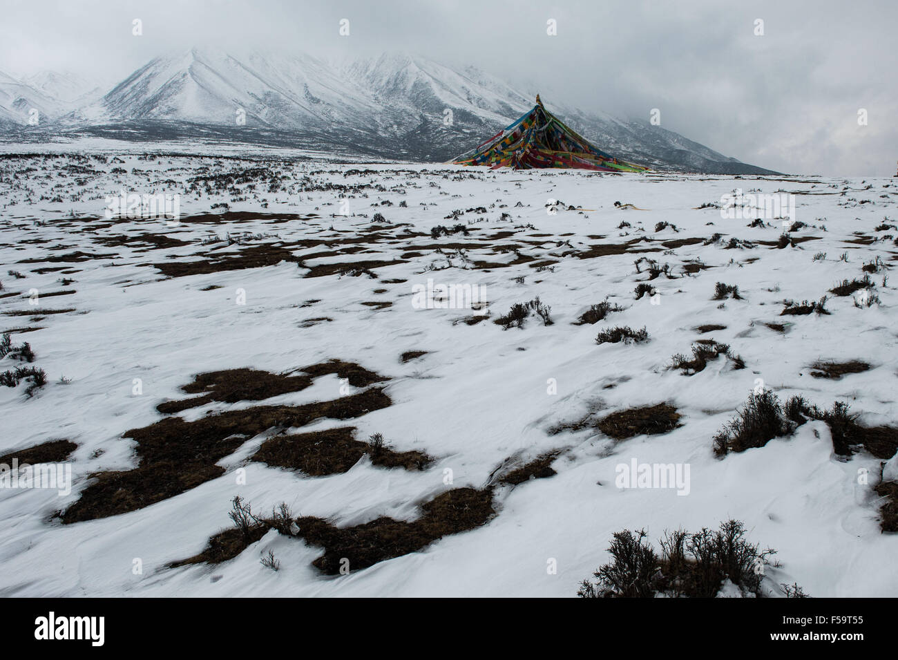 Xining. 30th Oct, 2015. Photo taken on Oct. 30, 2015 shows the scenery ...