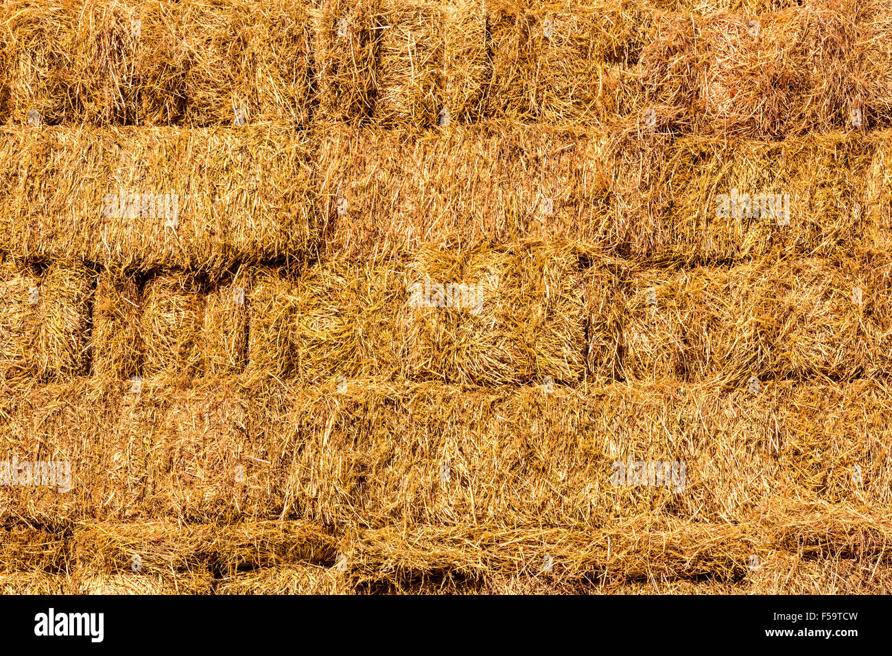 Fresh straw hay bales background. Horizontal shot Stock Photo - Alamy