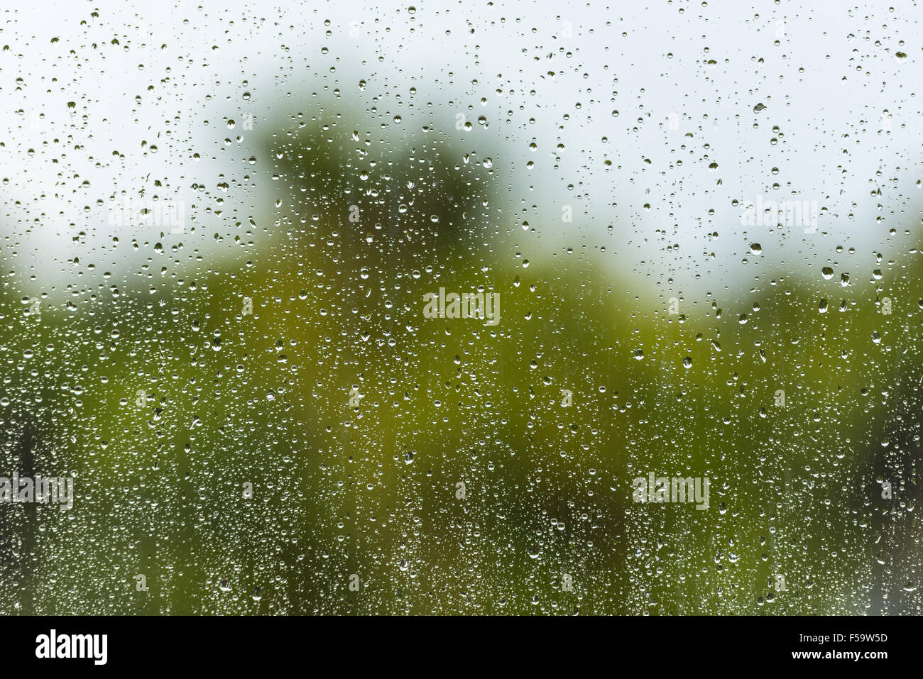 Window glass surface hi-res stock photography and images - Alamy