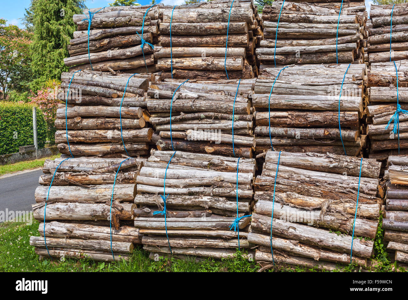 Big pile of wood logs bundles on a rural background Stock Photo - Alamy