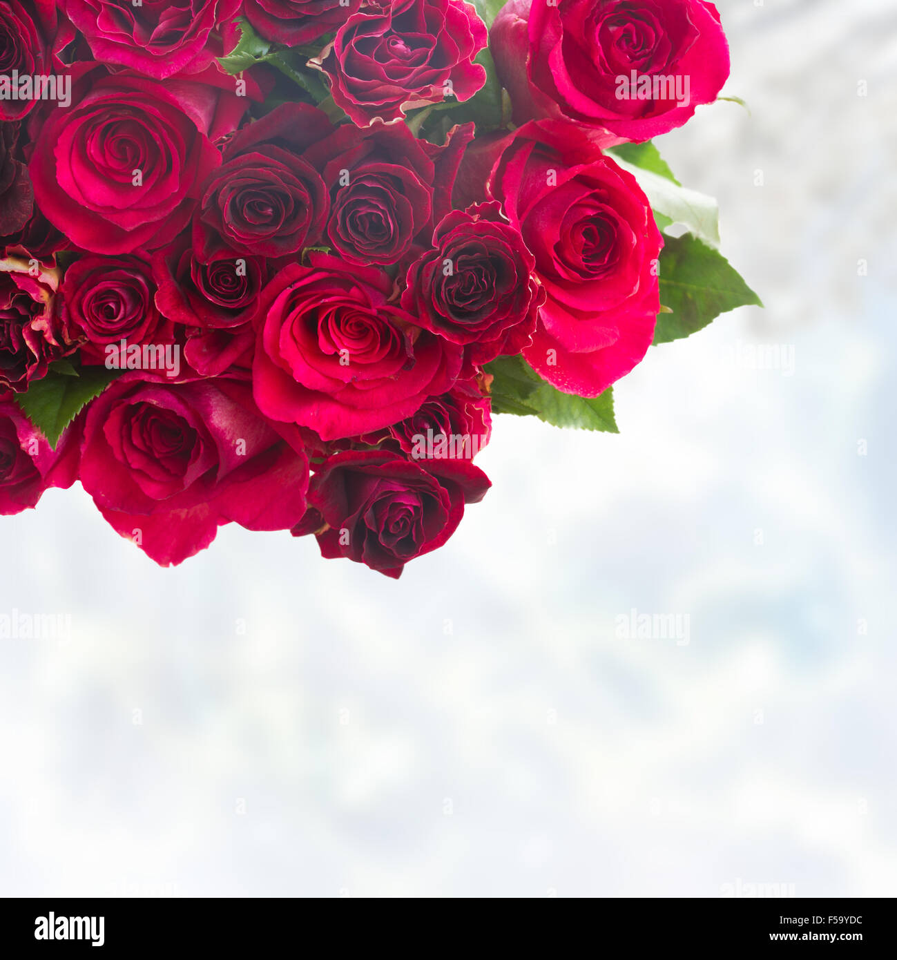 Border of red roses Stock Photo - Alamy