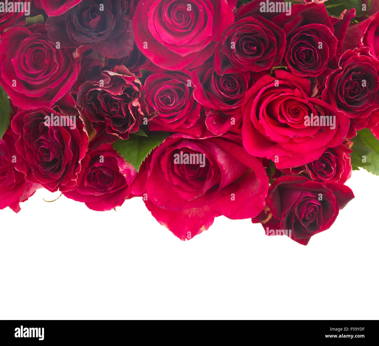 Border of red roses Stock Photo - Alamy