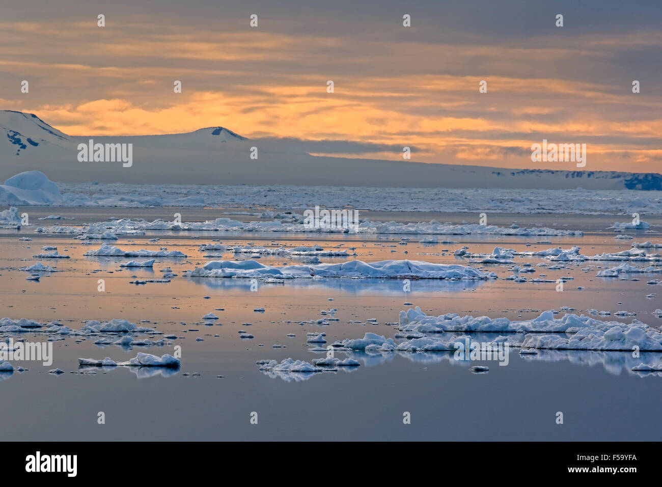 Ice floes, edge of pack-ice, Arctic Ocean, Spitsbergen Island, Svalbard ...