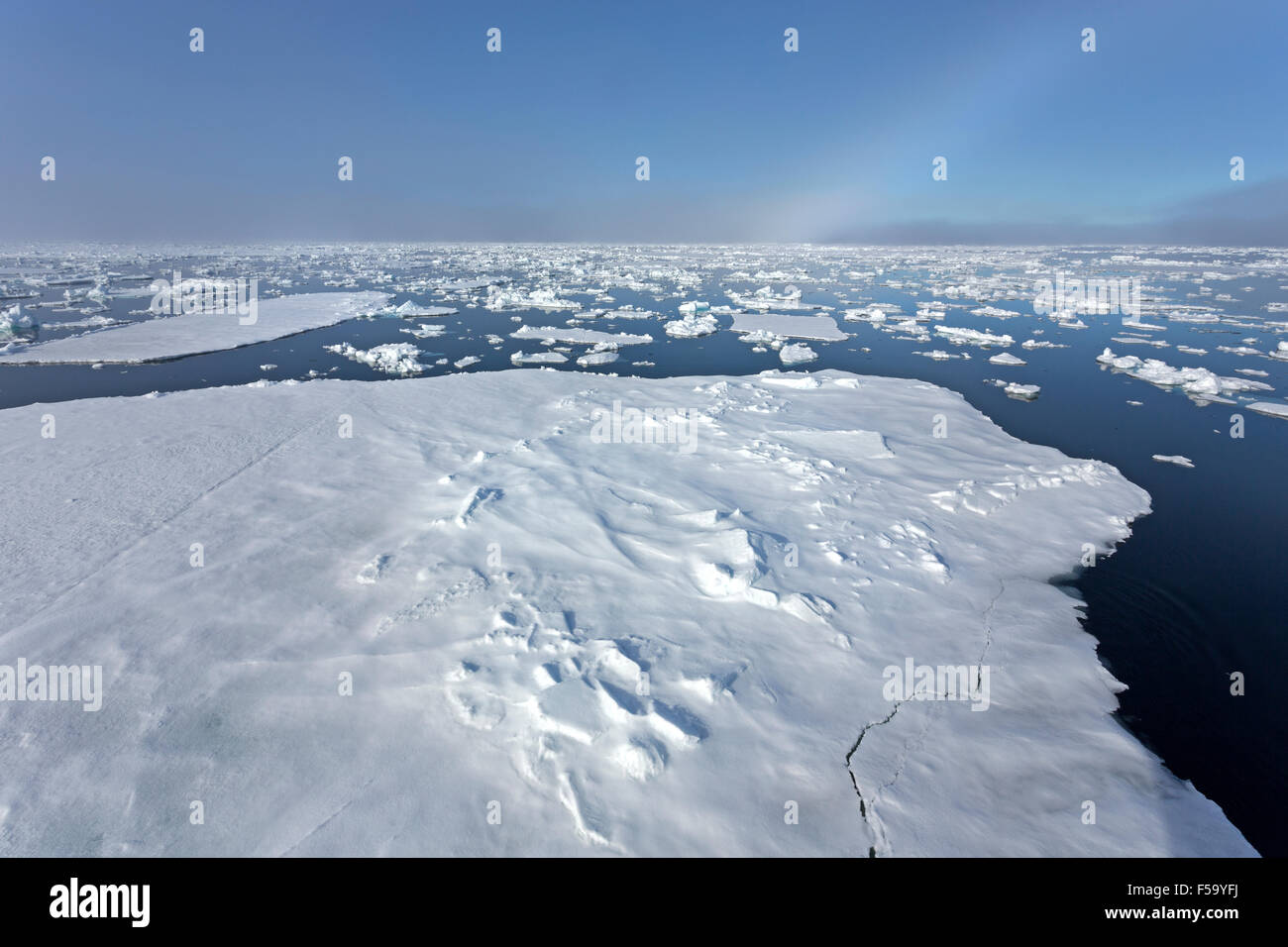 Ice floes, edge of pack-ice, Arctic Ocean, Spitsbergen Island, Svalbard ...