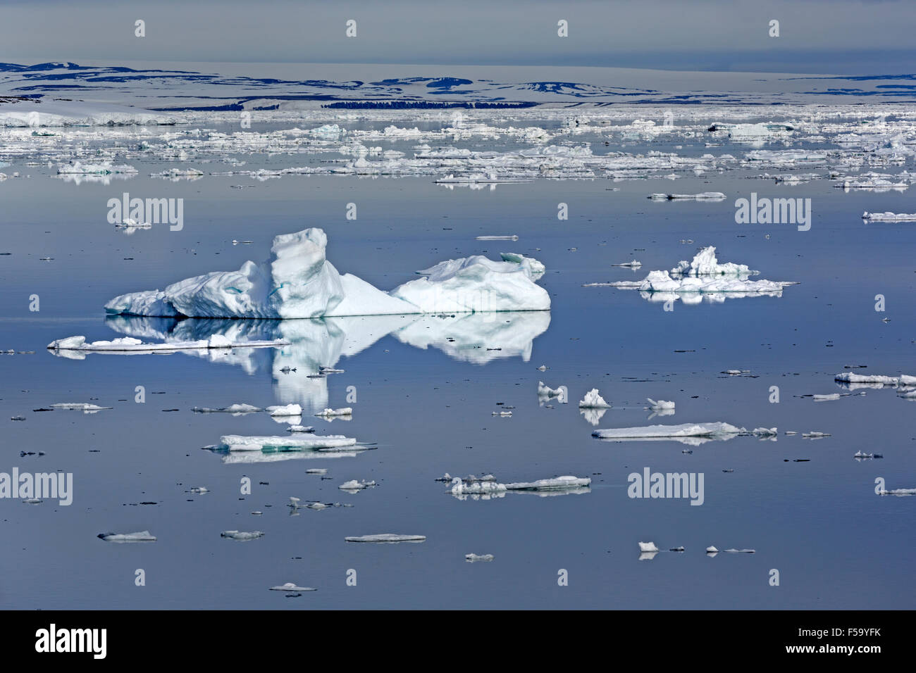 Ice floes, edge of pack-ice, Arctic Ocean, Spitsbergen Island, Svalbard ...