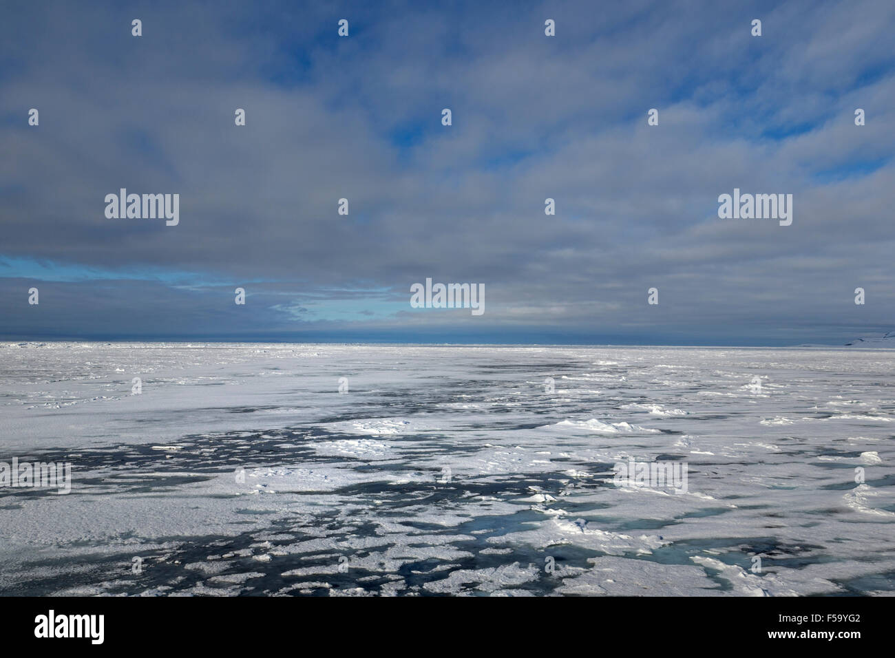 Ice floes, edge of pack-ice, Arctic Ocean, Spitsbergen Island, Svalbard ...