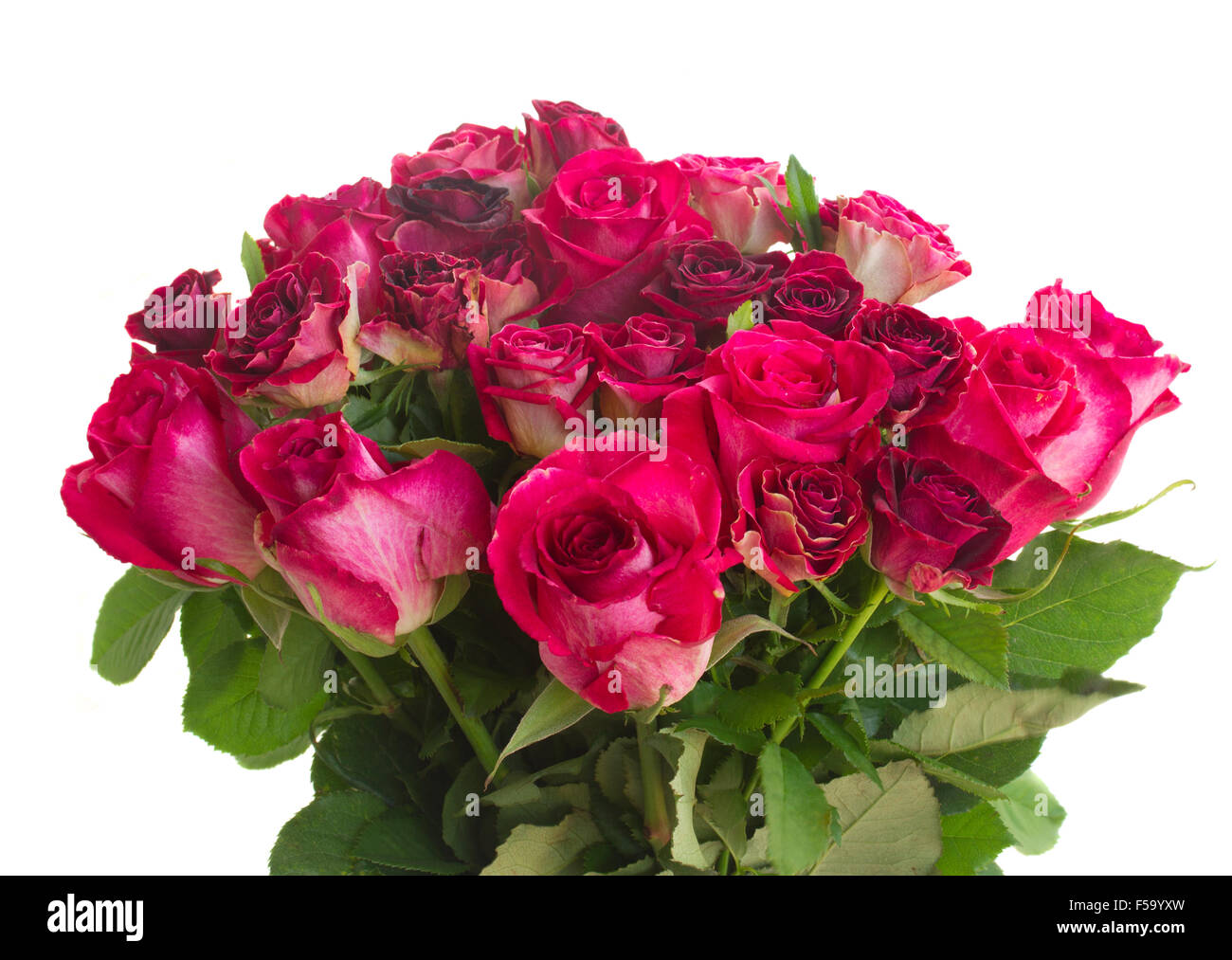 Border of red and pink roses Stock Photo - Alamy