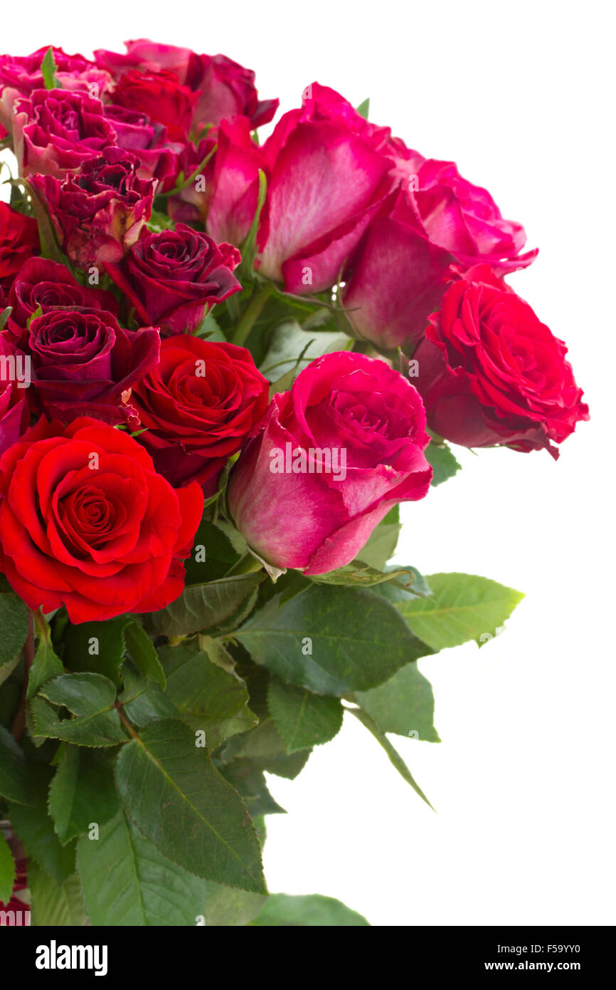 Border of red and pink roses Stock Photo - Alamy
