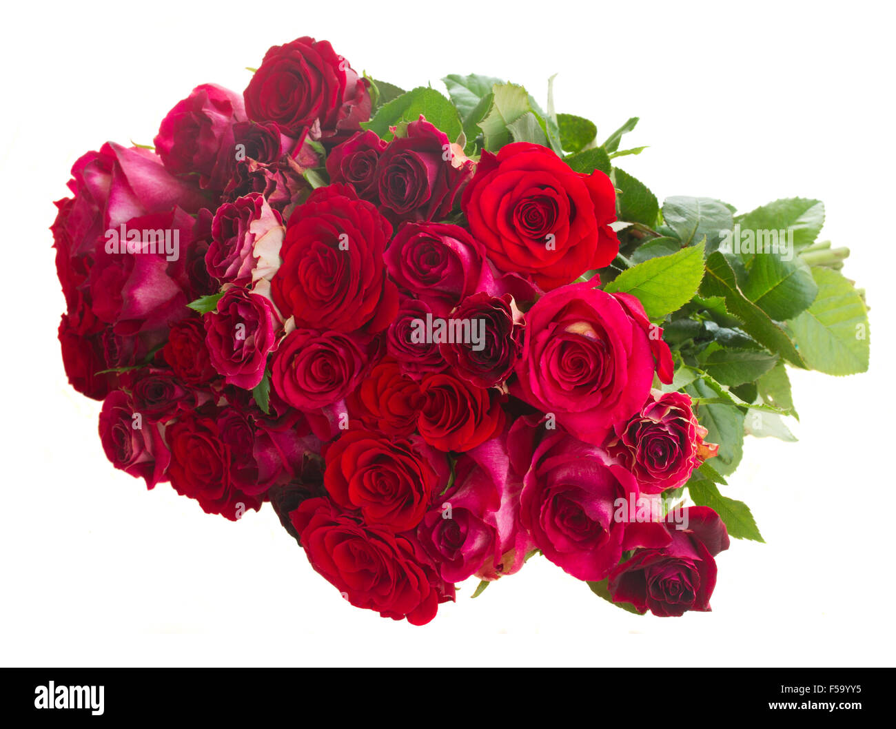 Border of red and pink roses Stock Photo - Alamy