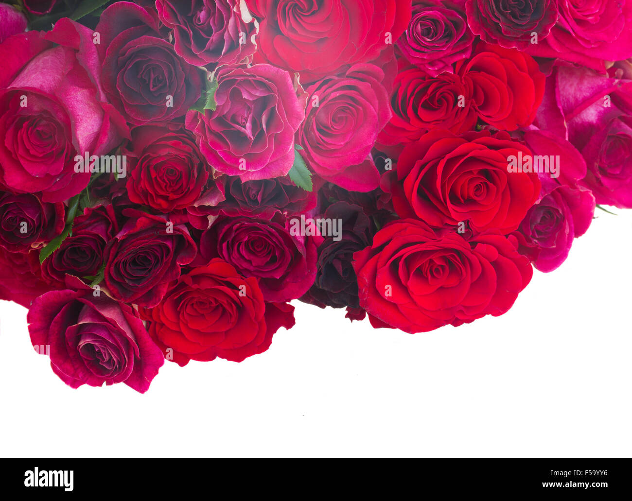 Border of red roses Stock Photo - Alamy