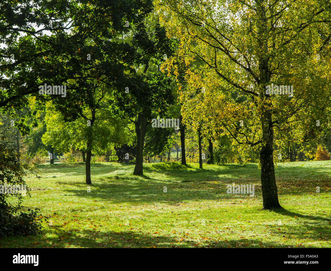 Autumn trees in a London park Stock Photo - Alamy