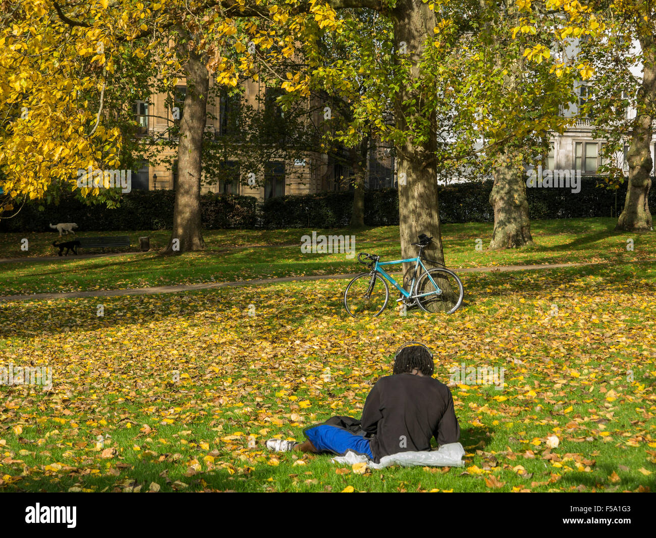 Autumn trees in a London park Stock Photo - Alamy
