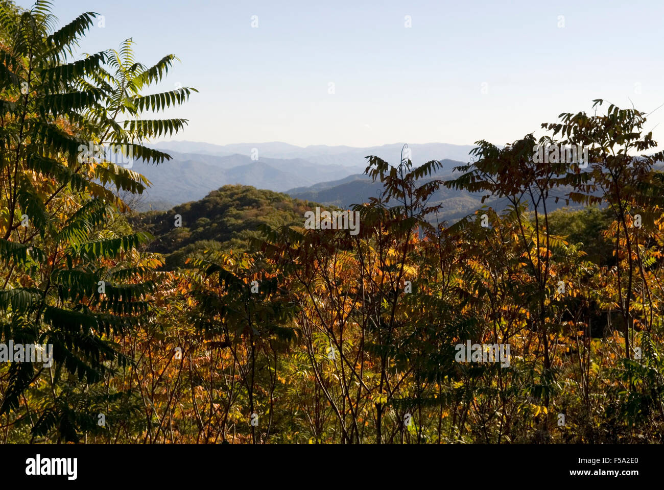 Tennessee north carolina border hi-res stock photography and images - Alamy