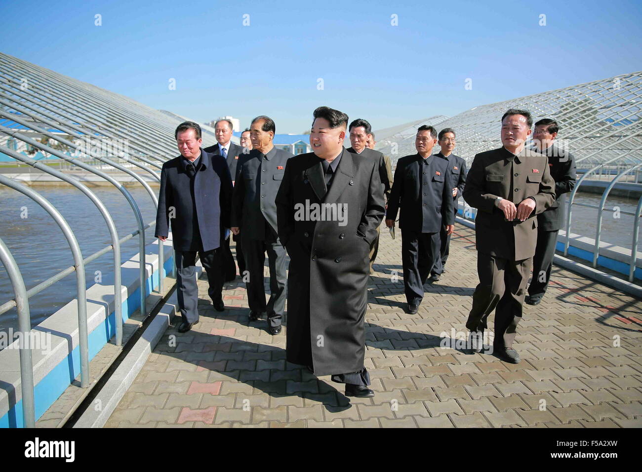 Pyongyang. 31st Oct, 2015. Photo provided by Korean Central News Agency ...