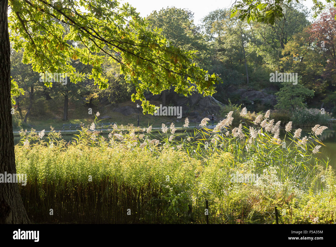 Harlem meer central park manhattan hi-res stock photography and images ...