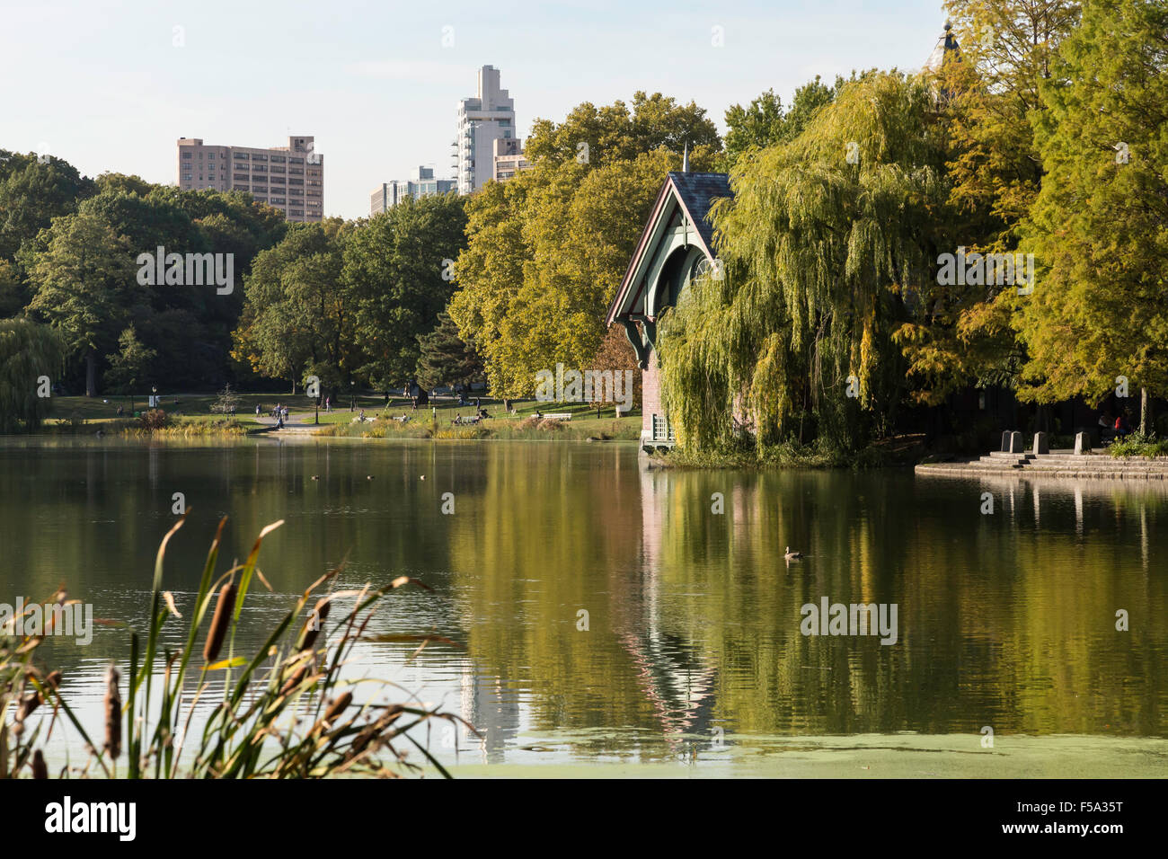 The Harlem Meer in Central Park, NYC Stock Photo - Alamy