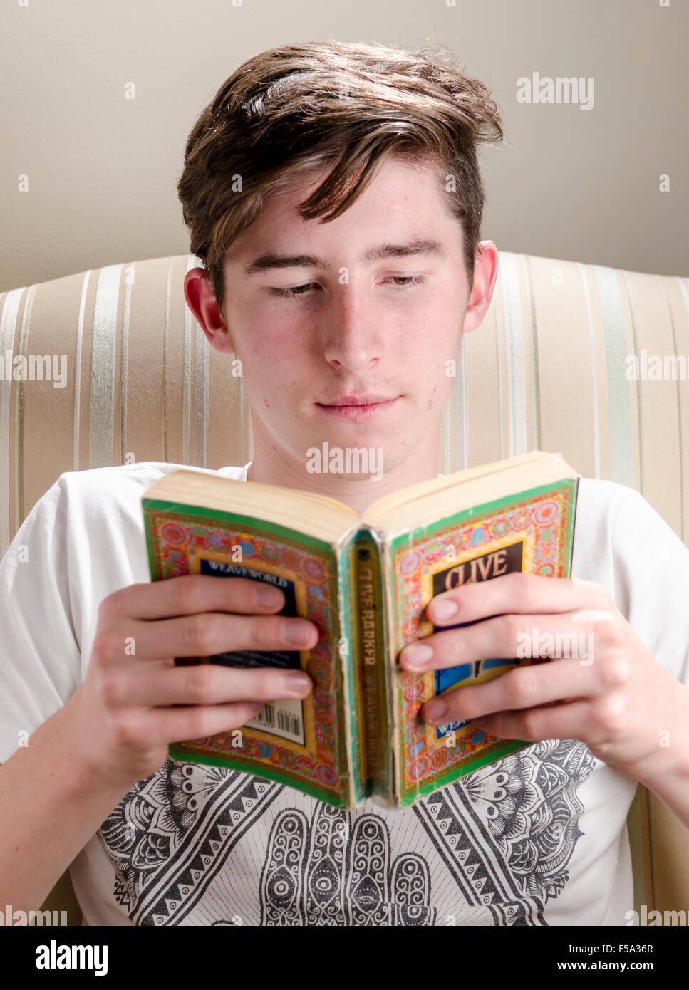Male reading book hi-res stock photography and images - Alamy