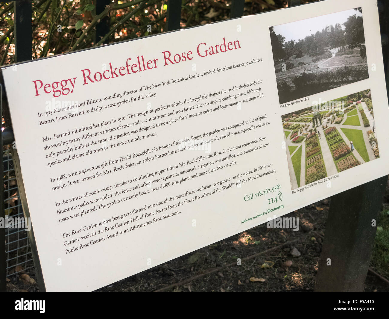 Peggy Rockefeller Rose Garden in the New York Botanical Garden, The ...