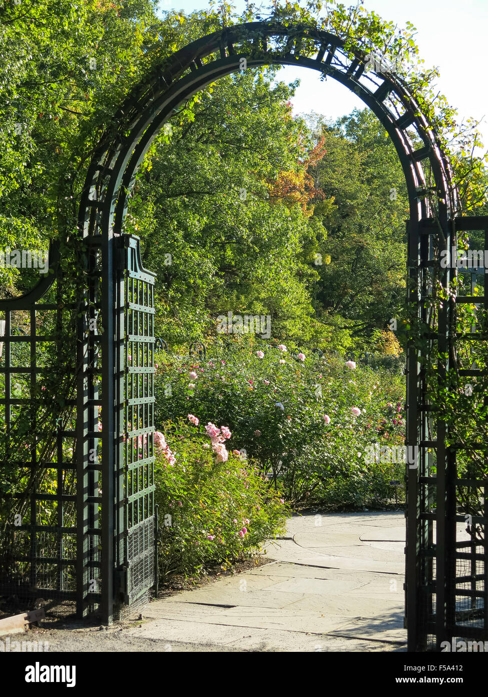Peggy Rockefeller Rose Garden in the New York Botanical Garden, The ...